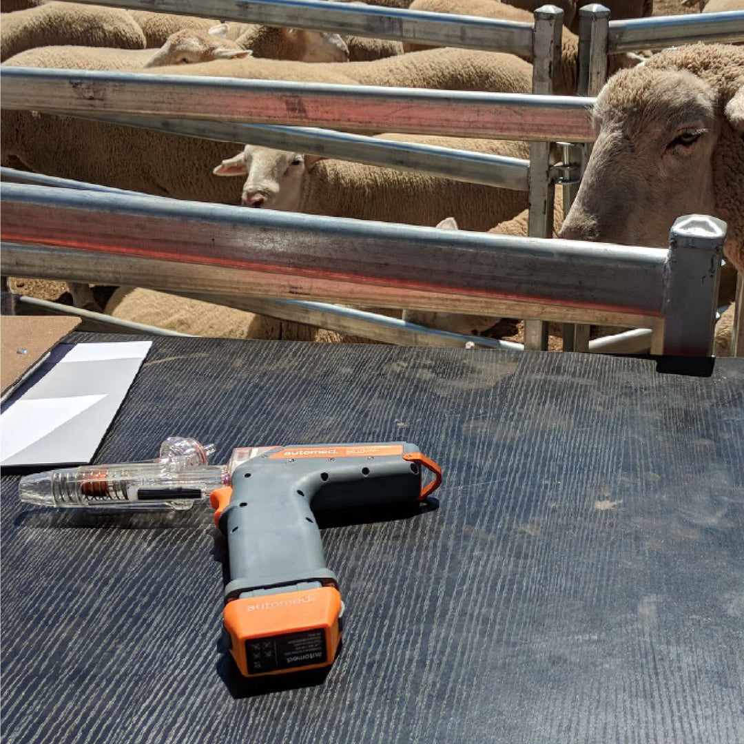Automed Livestock Medication Delivery Device – Efficient & Ergonomic